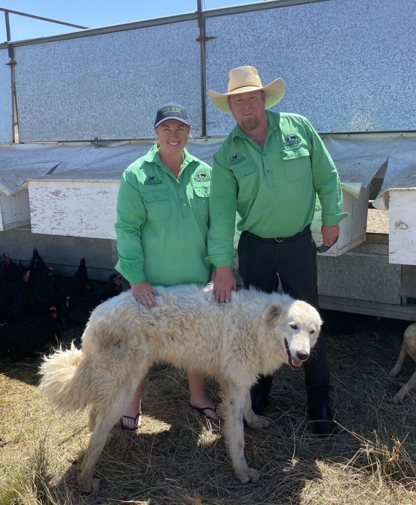 Meet Kevin and Cara Jackson, KC Ridge Farm | qcwacountrykitchens.com.au